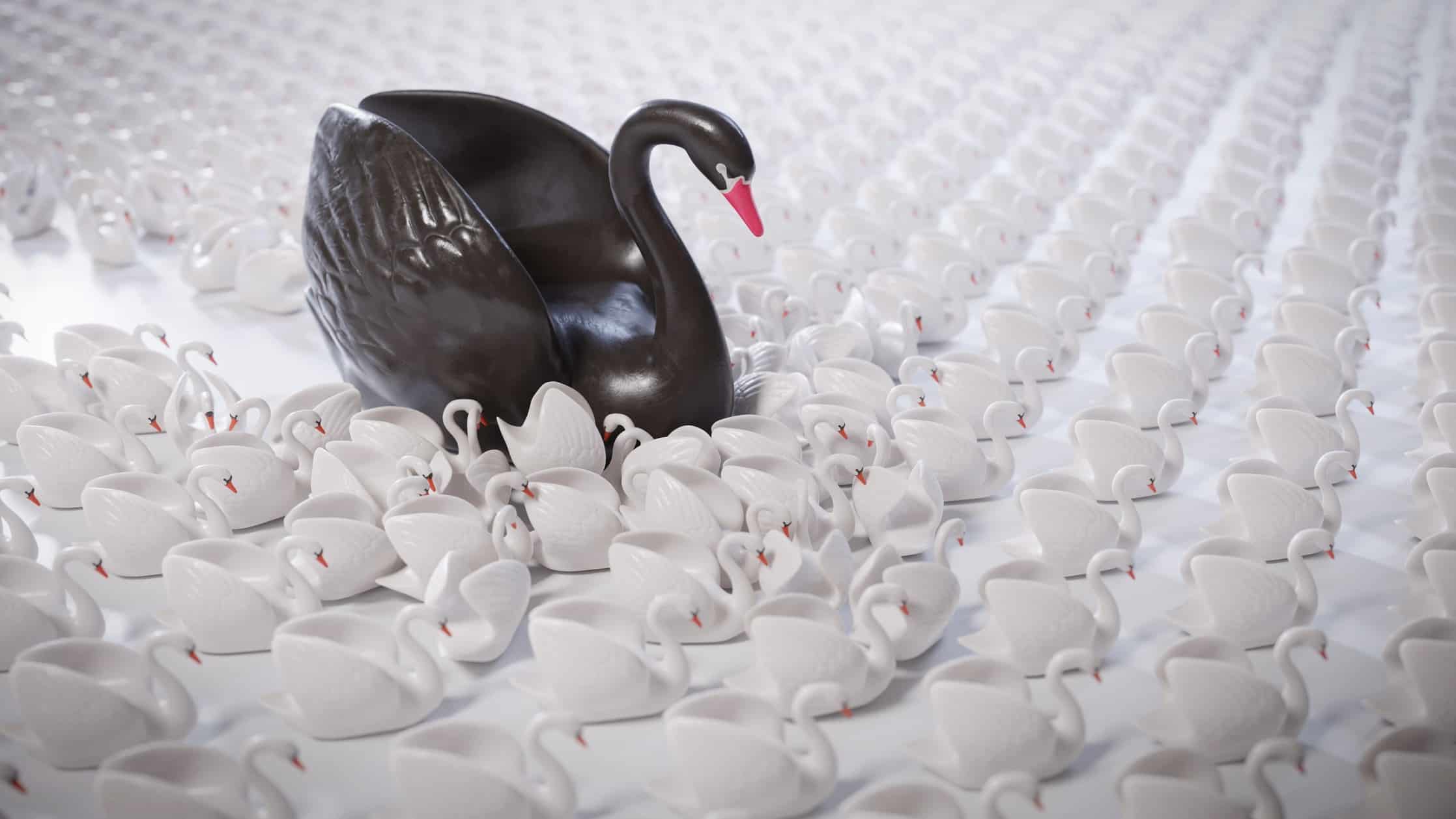 What is a black swan event? // The Motley Fool Australia