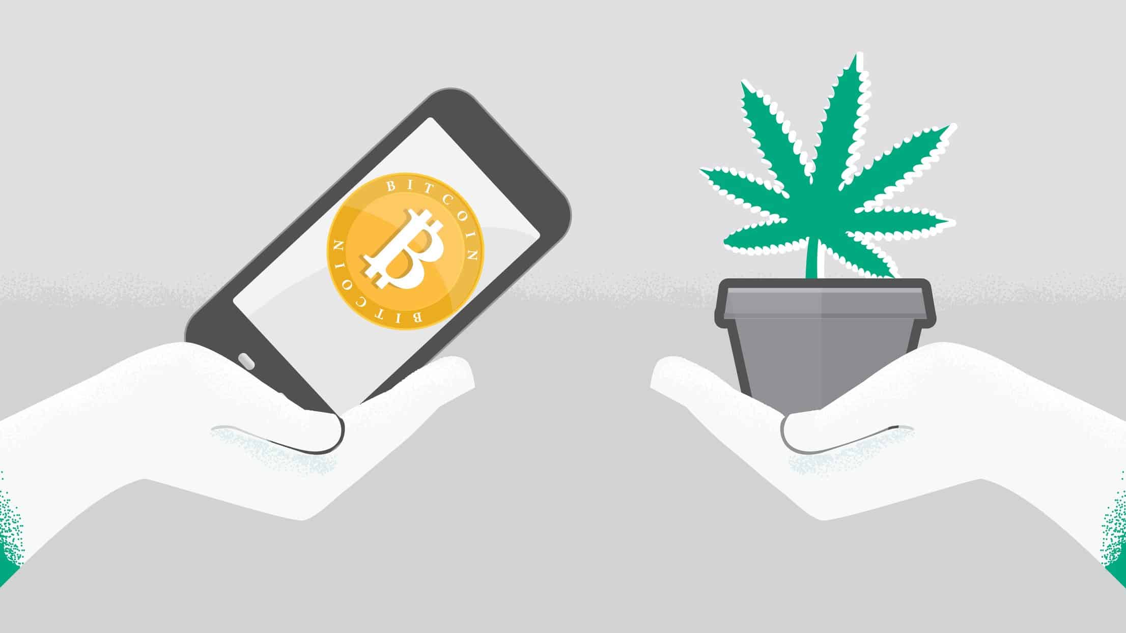 The surprising connection between Bitcoin and cannabis