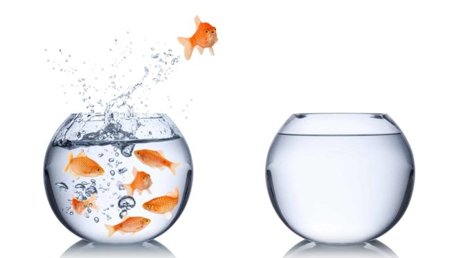 This ASX ETF has returned 12.5% annually since inception