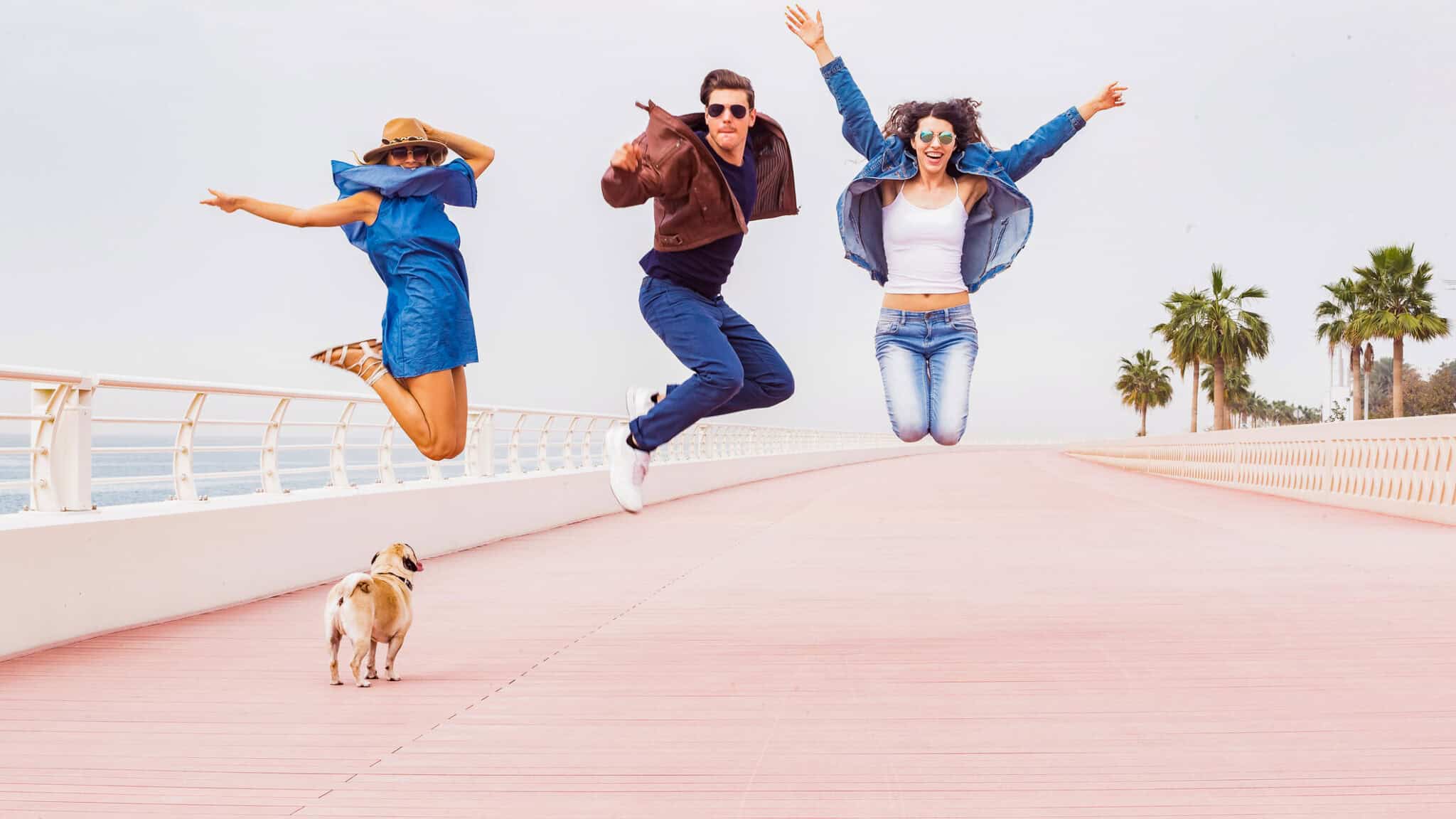 Coles Group Limited (ASX:COL) Share Price News | The Motley Fool Australia